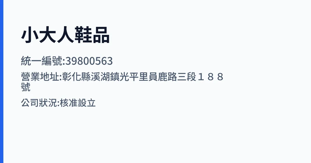 小大人鞋品 - 統編 39800563(彰化縣) 公司登記資料與營業項目詳細圖表