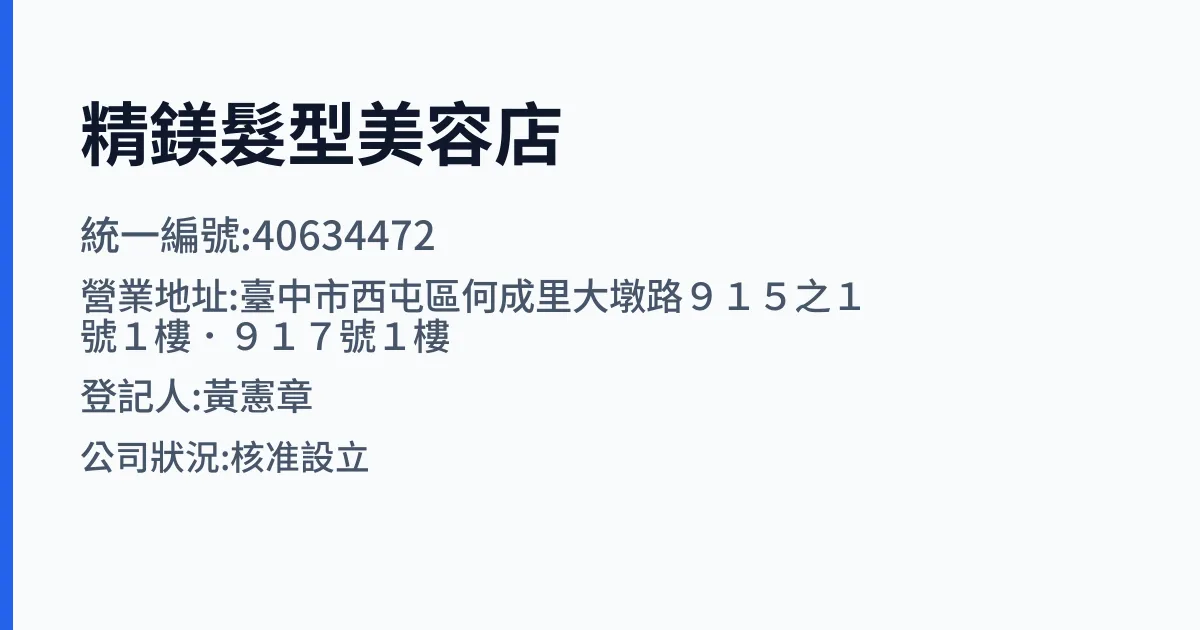 精鎂髮型美容店 - 統編 40634472(臺中市) 公司登記資料與營業項目詳細圖表