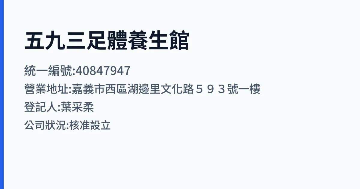 五九三足體養生館 - 統編 40847947(嘉義市) 公司登記資料與營業項目詳細圖表
