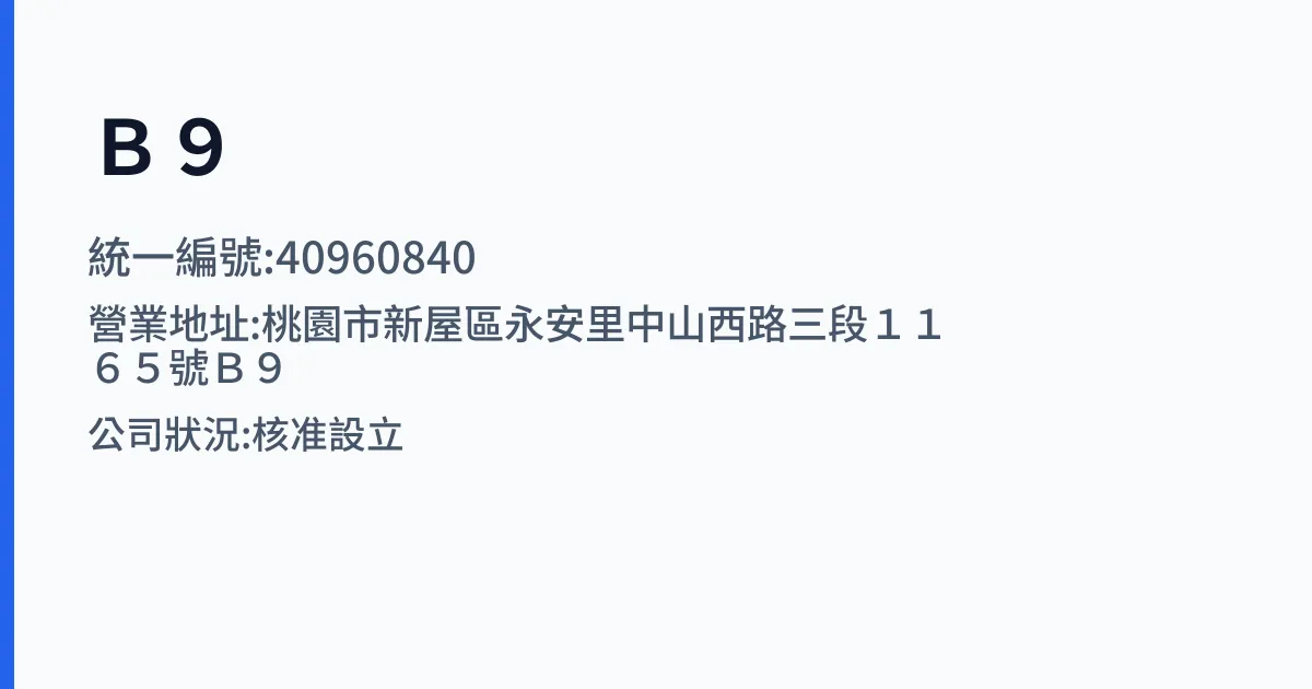 B9 - 統編 40960840(桃園市) 公司登記資料與營業項目詳細圖表