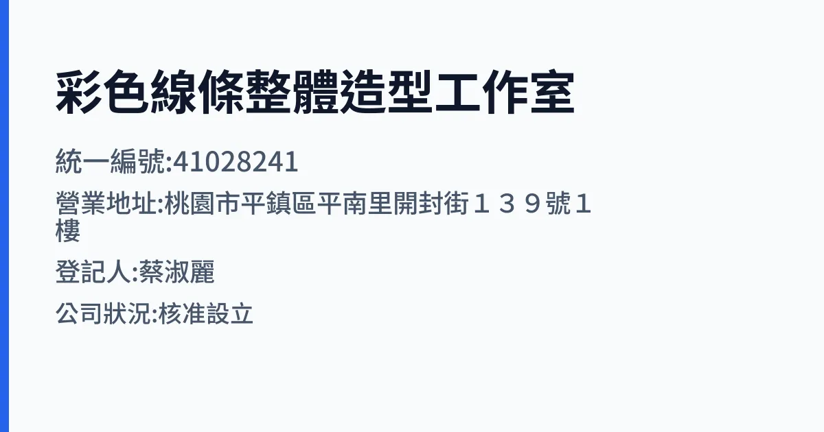 彩色線條整體造型工作室 - 統編 41028241（桃園市） 公司登記資料與營業項目詳細圖表