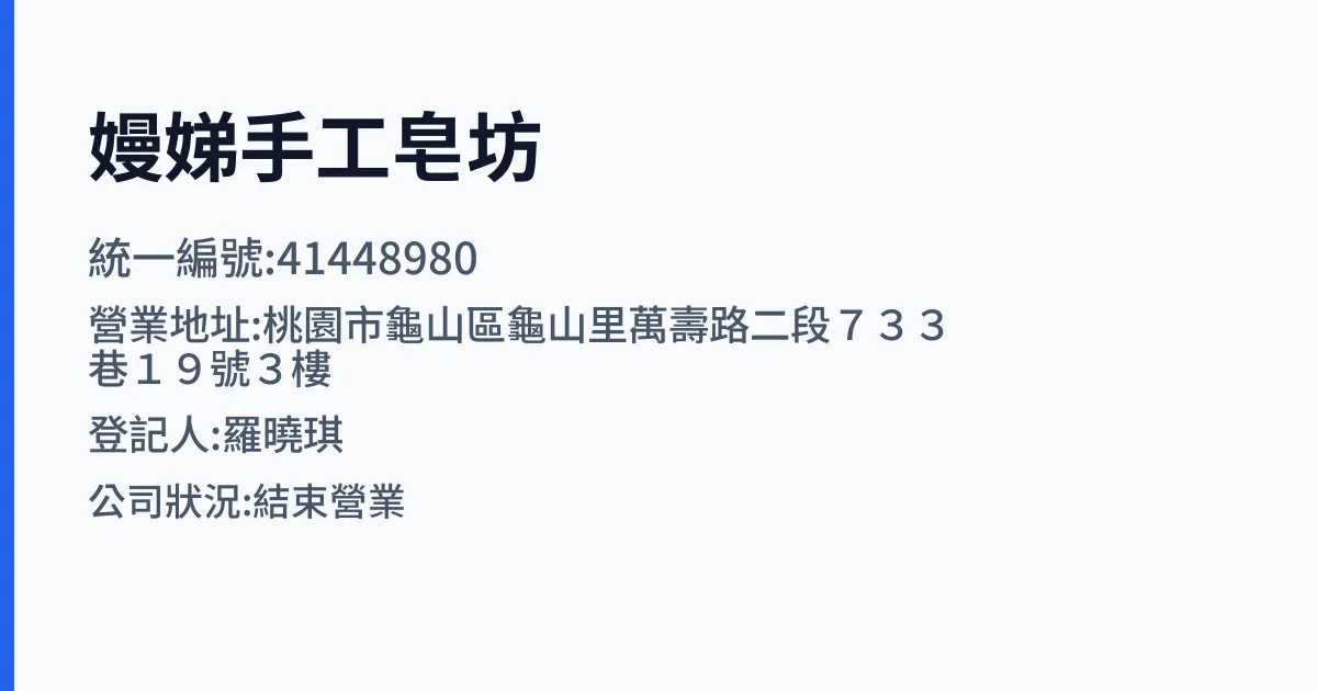 嫚娣手工皂坊 - 統編 41448980(桃園市) 公司登記資料與營業項目詳細圖表