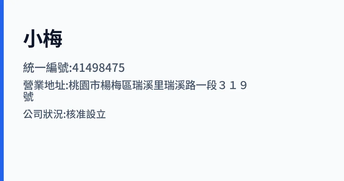 小梅 - 統編 41498475（桃園市） 公司登記資料與營業項目詳細圖表