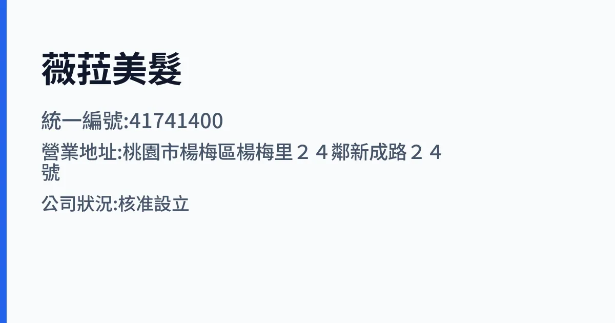 薇菈美髮 - 統編 41741400(桃園市) 公司登記資料與營業項目詳細圖表