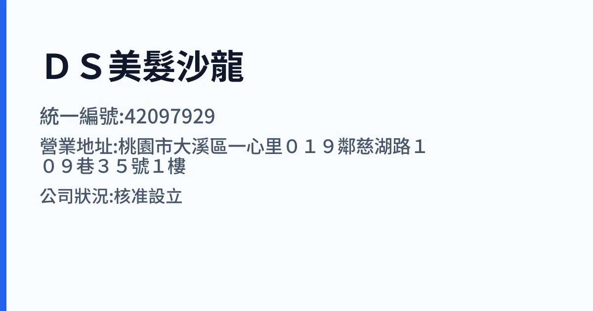 ＤＳ美髮沙龍 - 統編 42097929（桃園市） 公司登記資料與營業項目詳細圖表
