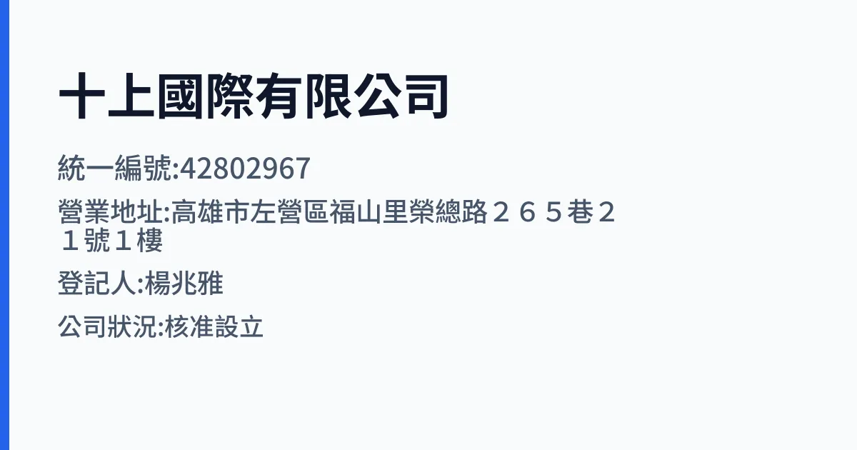 十上國際有限公司 - 統編 42802967(高雄市) 公司登記資料與營業項目詳細圖表
