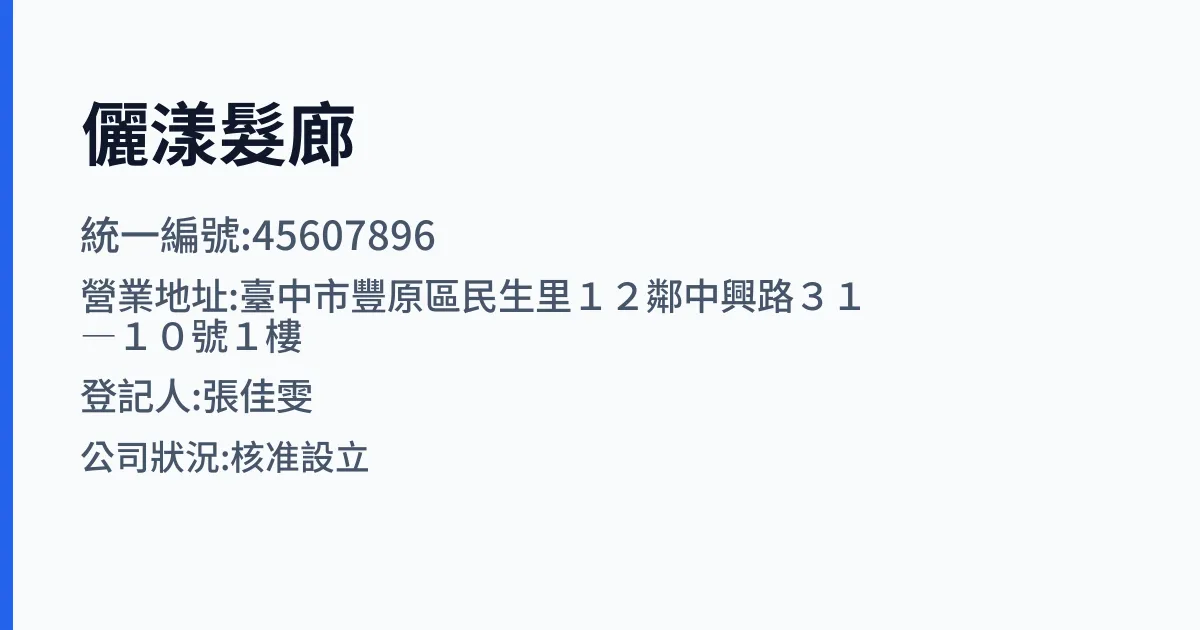 儷漾髮廊 - 統編 45607896(臺中市) 公司登記資料與營業項目詳細圖表