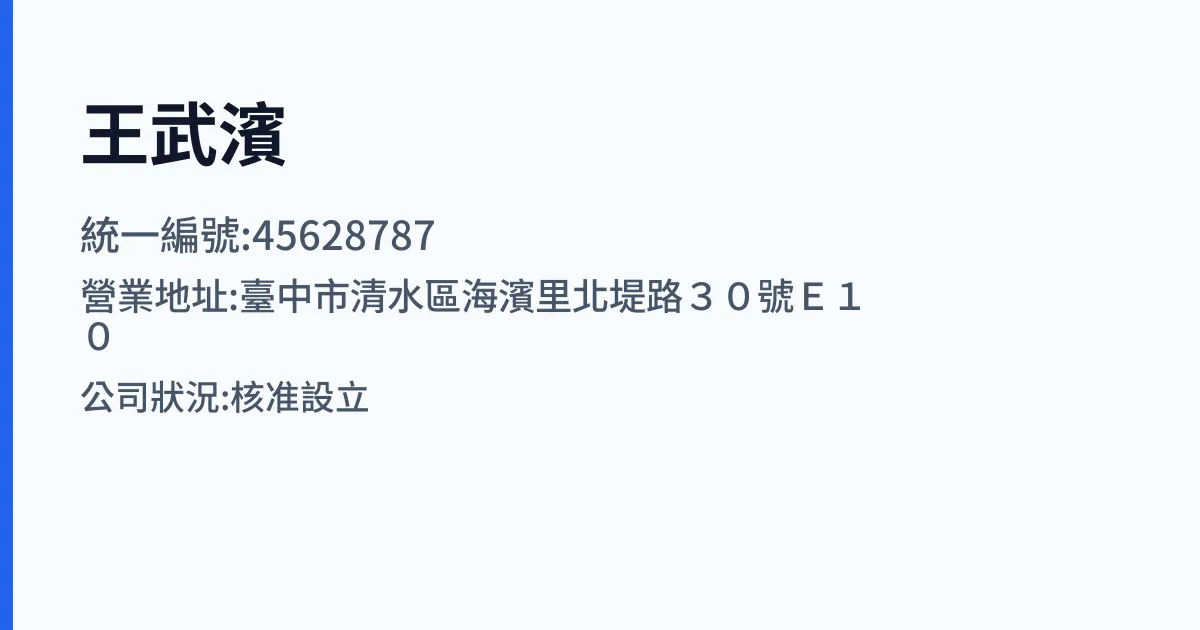 王武濱 - 統編 45628787(臺中市) 公司登記資料與營業項目詳細圖表