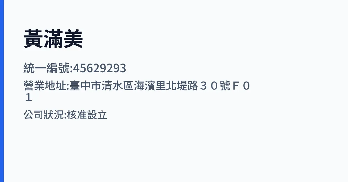 黃滿美 - 統編 45629293(臺中市) 公司登記資料與營業項目詳細圖表