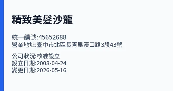 精致美髮沙龍的照片-統編 45652688(臺中市) 公司登記資料與營業項目詳細圖表