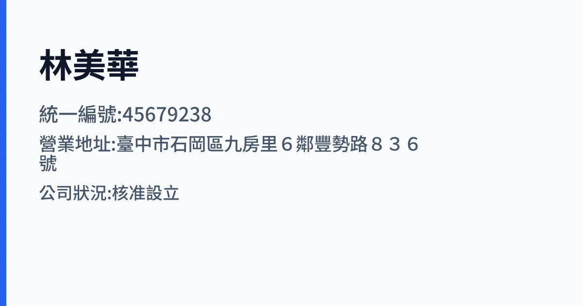 林美華 - 統編 45679238(臺中市) 公司登記資料與營業項目詳細圖表