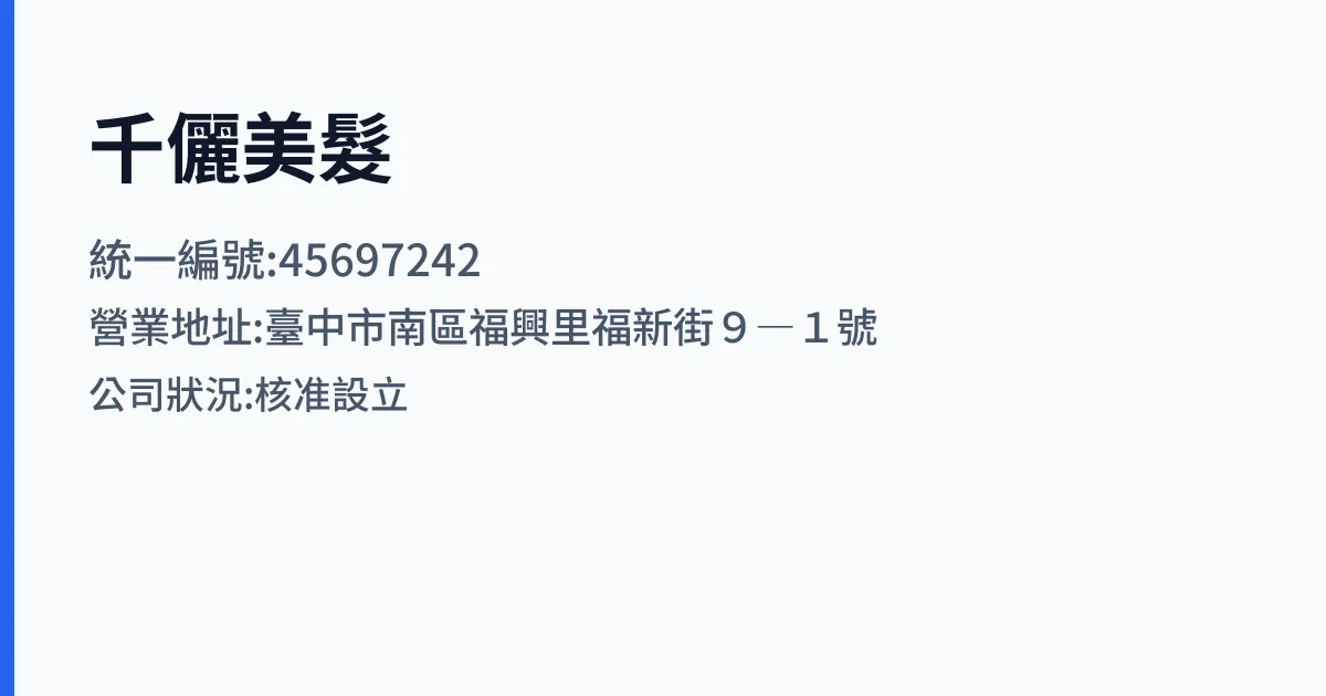千儷美髮 - 統編 45697242（臺中市） 公司登記資料與營業項目詳細圖表