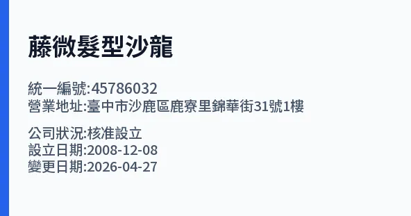 藤微髮型沙龍的照片-統編 45786032(臺中市) 公司登記資料與營業項目詳細圖表
