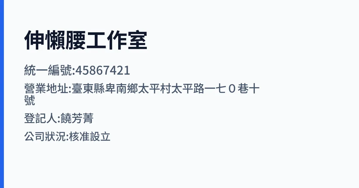 伸懶腰工作室 - 統編 45867421(臺東縣) 公司登記資料與營業項目詳細圖表