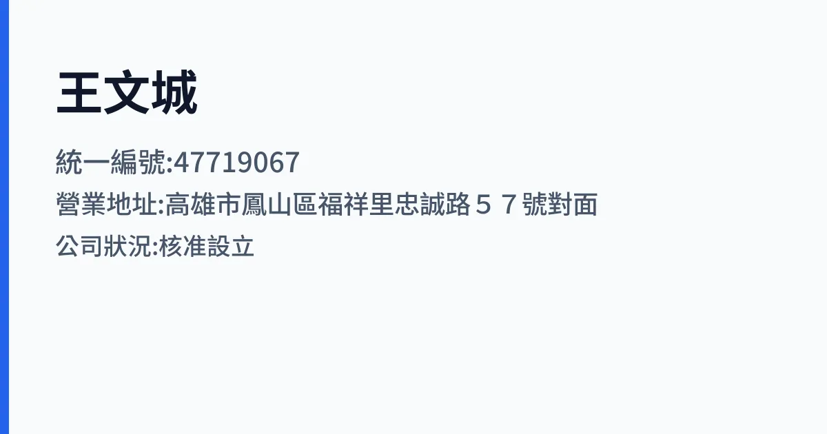 王文城 - 統編 47719067(高雄市) 公司登記資料與營業項目詳細圖表