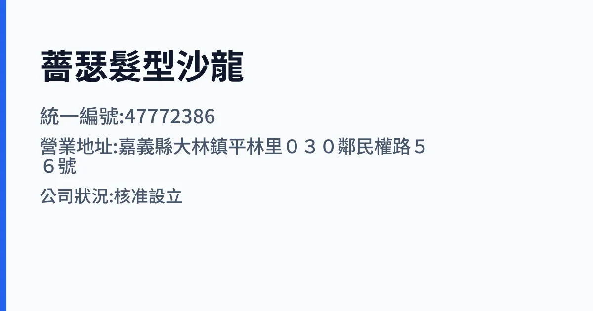薔瑟髮型沙龍 - 統編 47772386(嘉義縣) 公司登記資料與營業項目詳細圖表