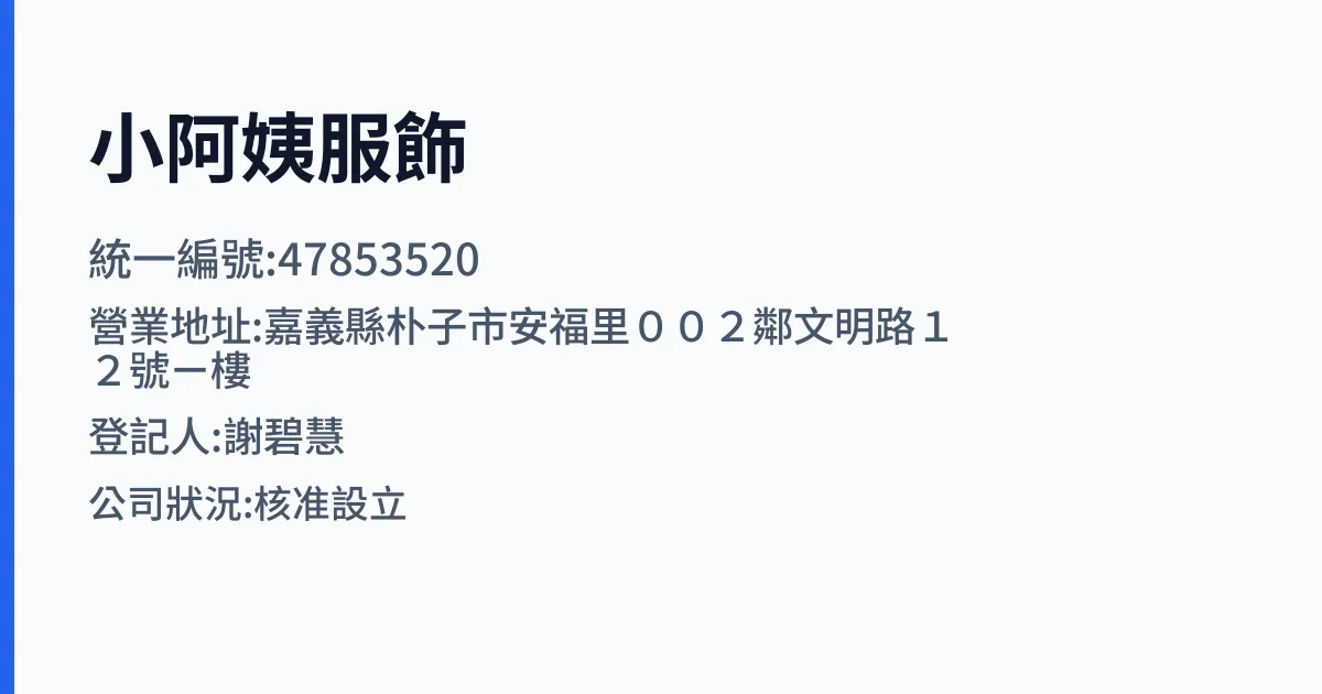 小阿姨服飾 - 統編 47853520(嘉義縣) 公司登記資料與營業項目詳細圖表