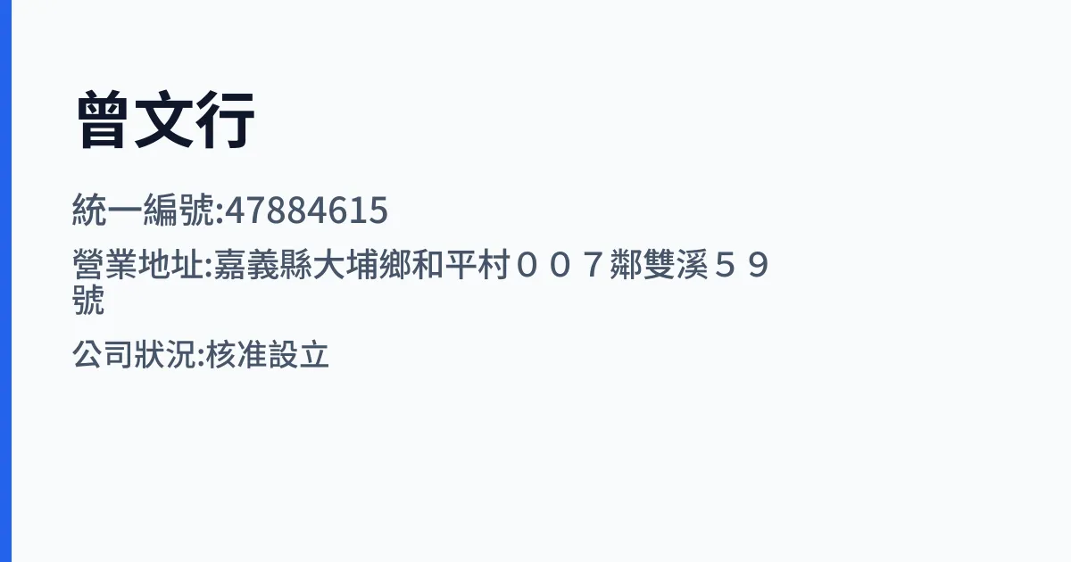 曾文行 - 統編 47884615(嘉義縣) 公司登記資料與營業項目詳細圖表