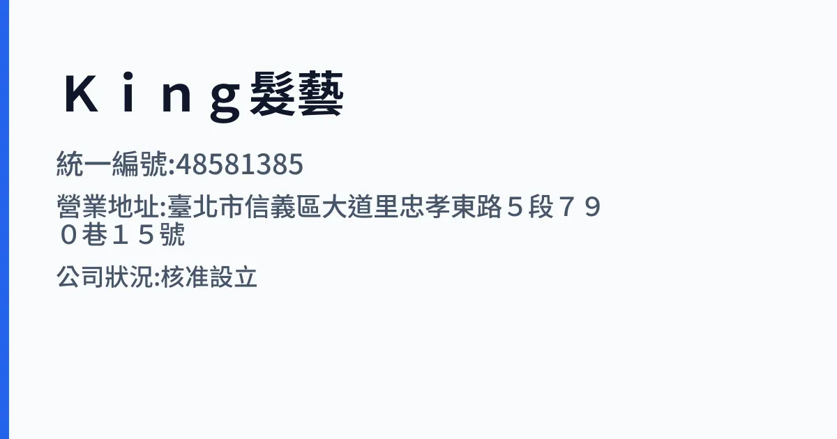 King髮藝 - 統編 48581385(臺北市) 公司登記資料與營業項目詳細圖表