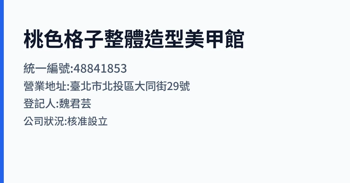 桃色格子整體造型美甲館 - 統編 48841853(臺北市) 公司登記資料與營業項目詳細圖表