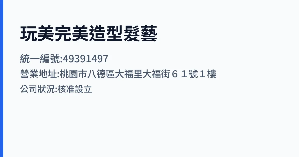 玩美完美造型髮藝 - 統編 49391497(桃園市) 公司登記資料與營業項目詳細圖表