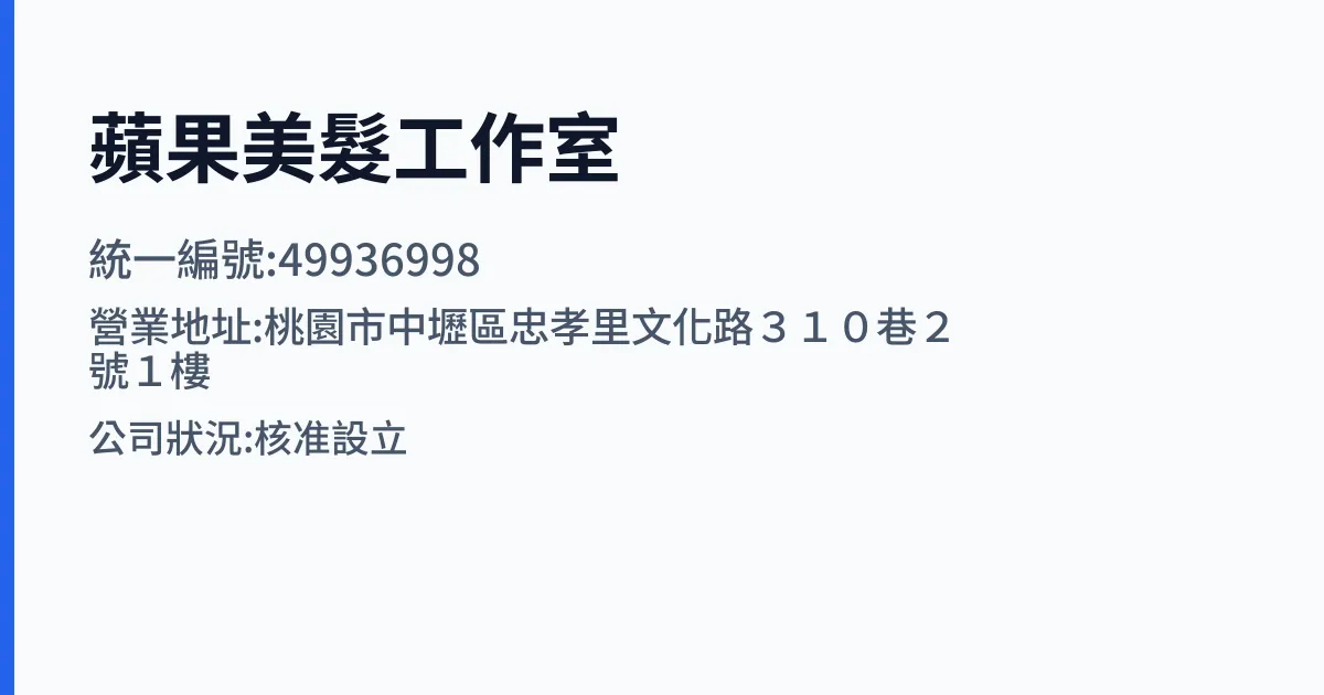 蘋果美髮工作室 - 統編 49936998(桃園市) 公司登記資料與營業項目詳細圖表