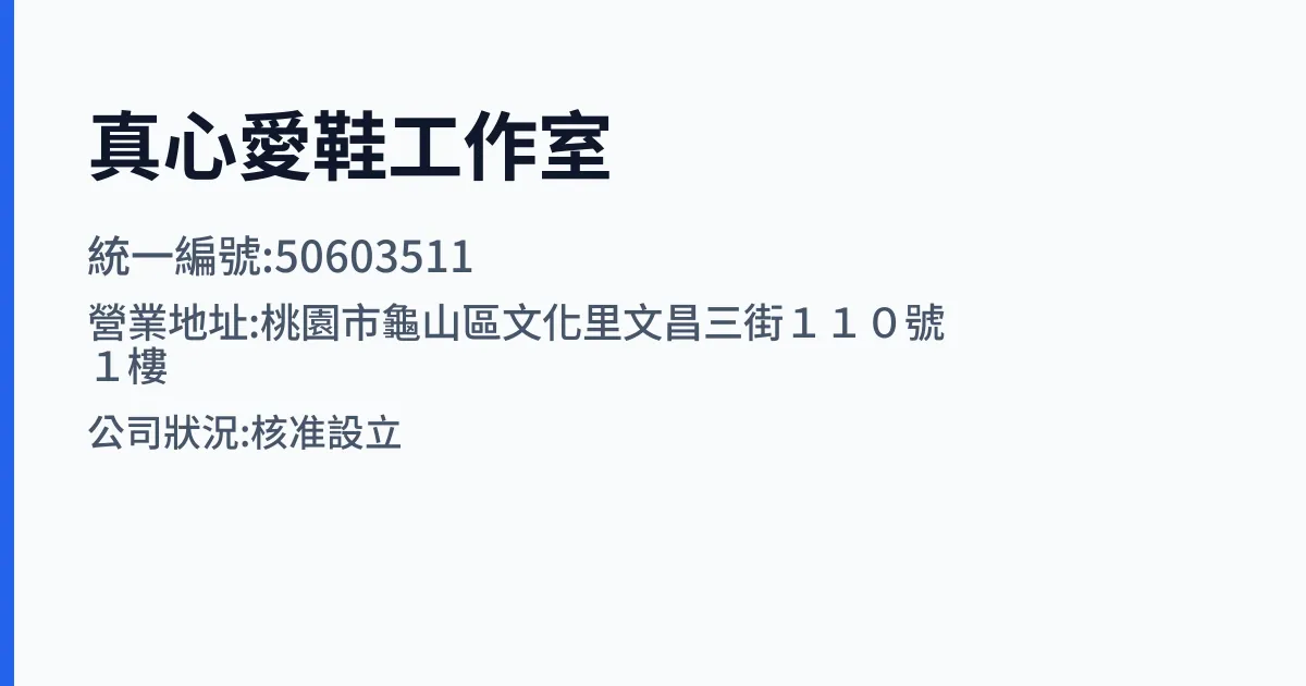 真心愛鞋工作室 - 統編 50603511(桃園市) 公司登記資料與營業項目詳細圖表