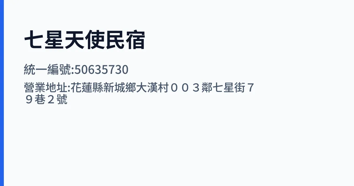 七星天使民宿 - 統編 50635730(花蓮縣) 公司登記資料與營業項目詳細圖表