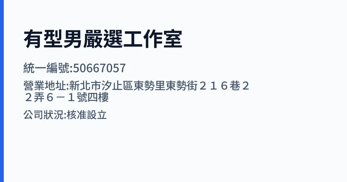 有型男嚴選工作室 - 統編 50667057(新北市) 公司登記資料與營業項目詳細圖表