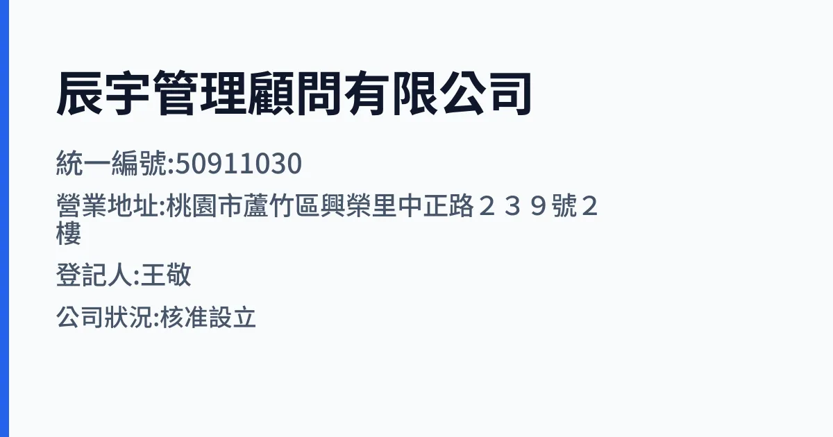 辰宇管理顧問有限公司 - 統編 50911030(桃園市) 公司登記資料與營業項目詳細圖表