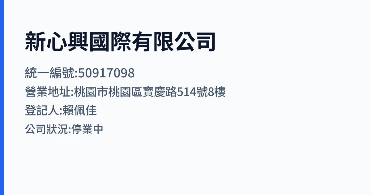新心興國際有限公司 - 統編 50917098(桃園市) 公司登記資料與營業項目詳細圖表