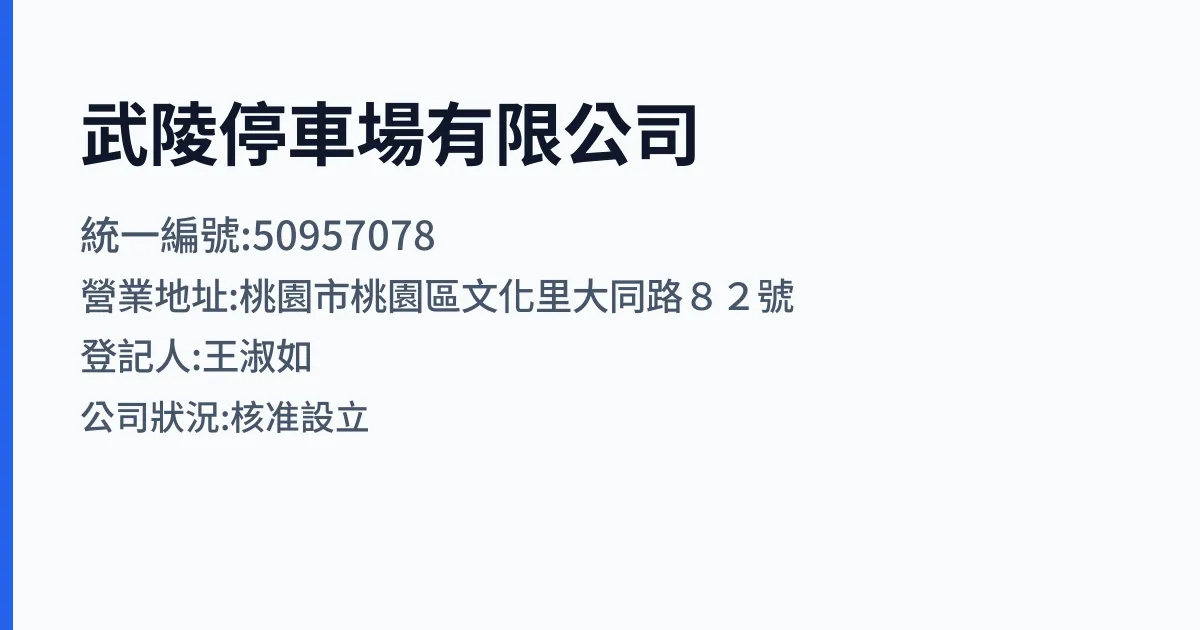 武陵停車場有限公司 - 統編 50957078(桃園市) 公司登記資料與營業項目詳細圖表