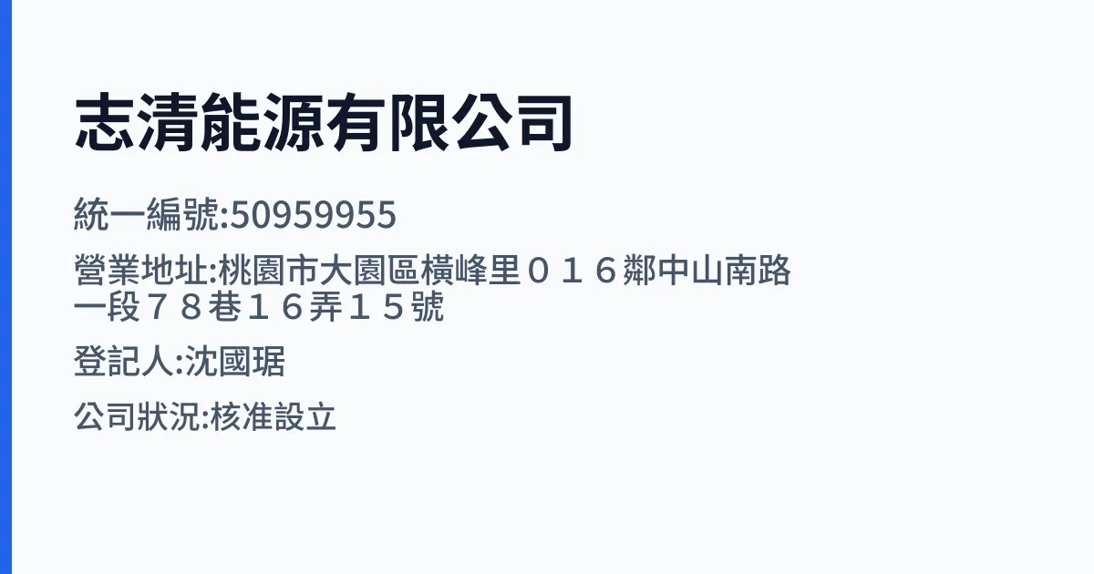 志清能源有限公司 - 統編 50959955（桃園市） 公司登記資料與營業項目詳細圖表