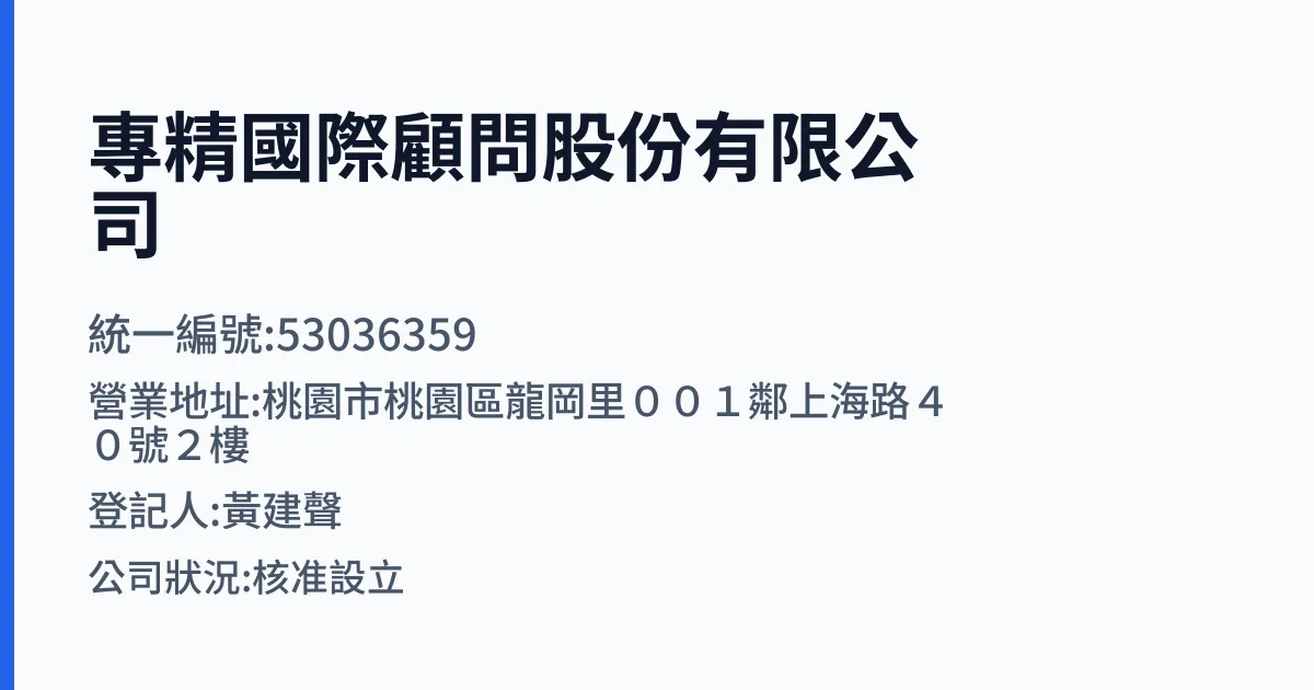 專精國際顧問股份有限公司 - 統編 53036359(桃園市) 公司登記資料與營業項目詳細圖表