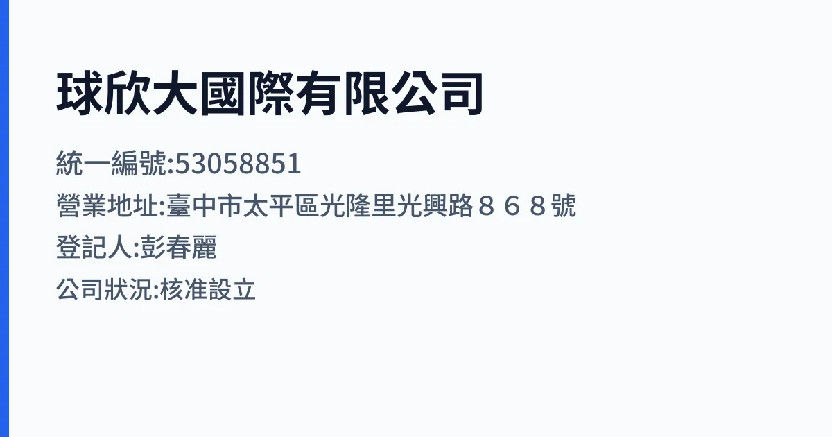 球欣大國際有限公司 - 統編 53058851(臺中市) 公司登記資料與營業項目詳細圖表