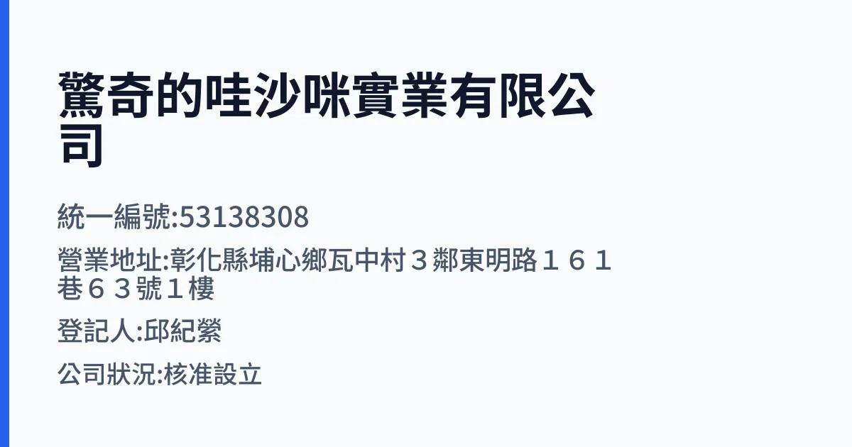 驚奇的哇沙咪實業有限公司 - 統編 53138308(彰化縣) 公司登記資料與營業項目詳細圖表