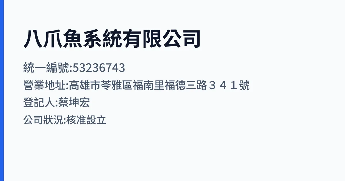八爪魚系統有限公司 - 統編 53236743(高雄市) 公司登記資料與營業項目詳細圖表
