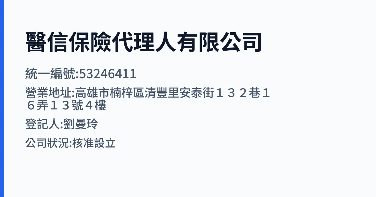 醫信保險代理人有限公司 - 統編 53246411(高雄市) 公司登記資料與營業項目詳細圖表