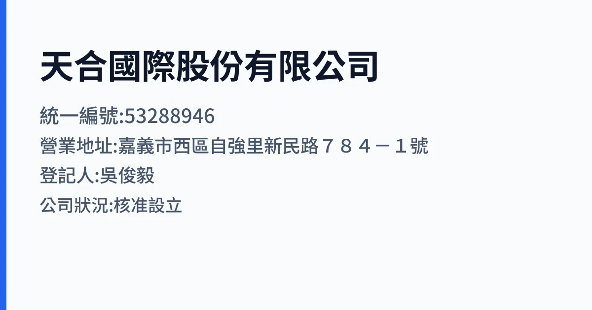 天合國際股份有限公司 - 統編 53288946（嘉義市） 公司登記資料與營業項目詳細圖表