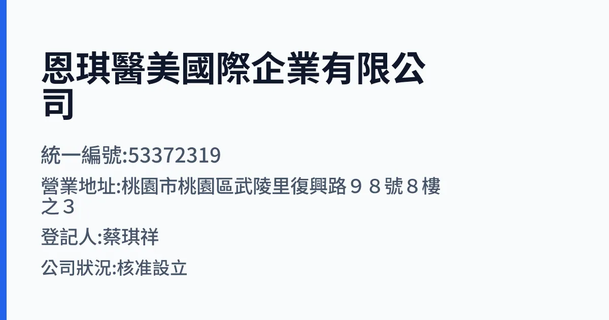 恩琪醫美國際企業有限公司 - 統編 53372319(桃園市) 公司登記資料與營業項目詳細圖表