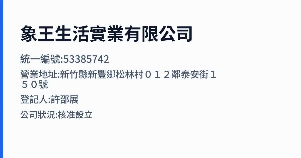 象王生活實業有限公司 - 統編 53385742(新竹縣) 公司登記資料與營業項目詳細圖表