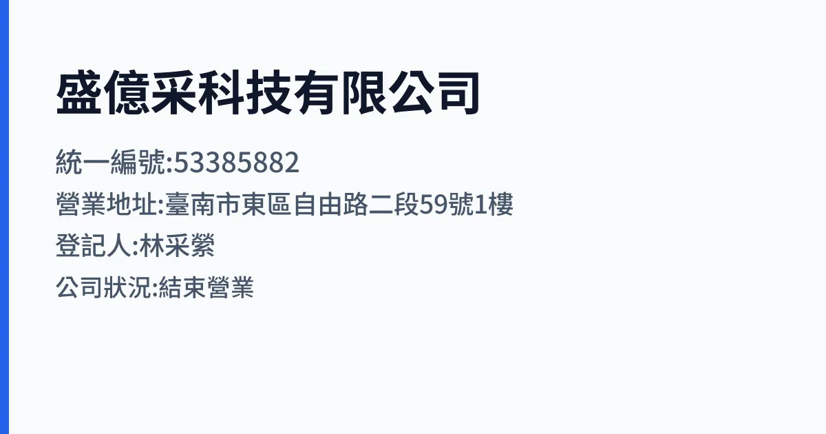 盛億采科技有限公司 - 統編 53385882(臺南市) 公司登記資料與營業項目詳細圖表