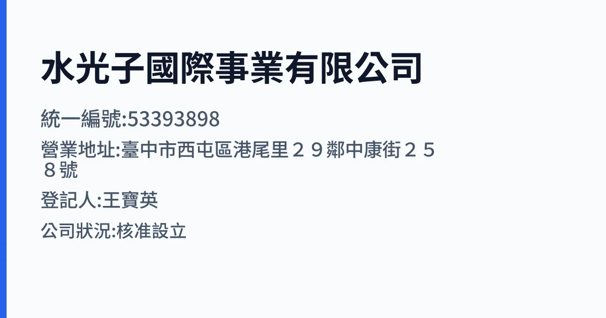 水光子國際事業有限公司 - 統編 53393898(臺中市) 公司登記資料與營業項目詳細圖表