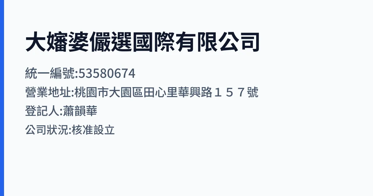 大嬸婆儼選國際有限公司 - 統編 53580674(桃園市) 公司登記資料與營業項目詳細圖表