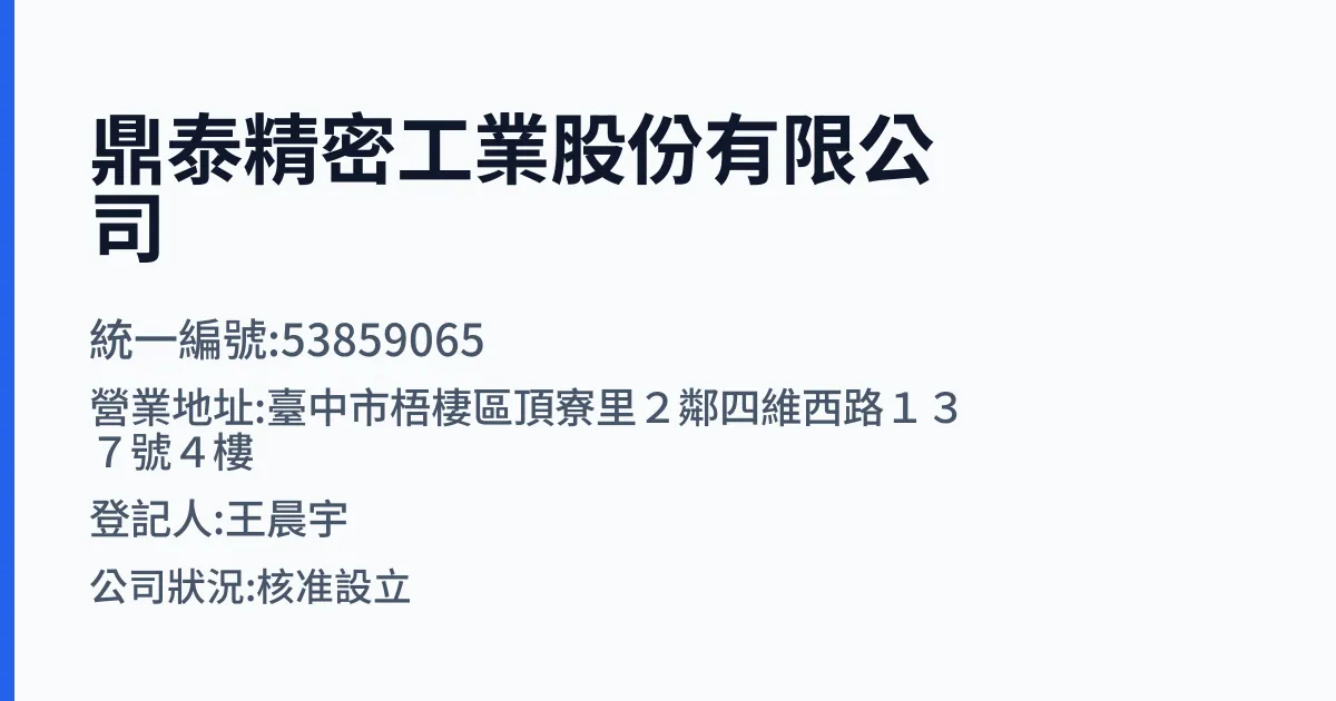 鼎泰精密工業股份有限公司 - 統編 53859065(臺中市) 公司登記資料與營業項目詳細圖表