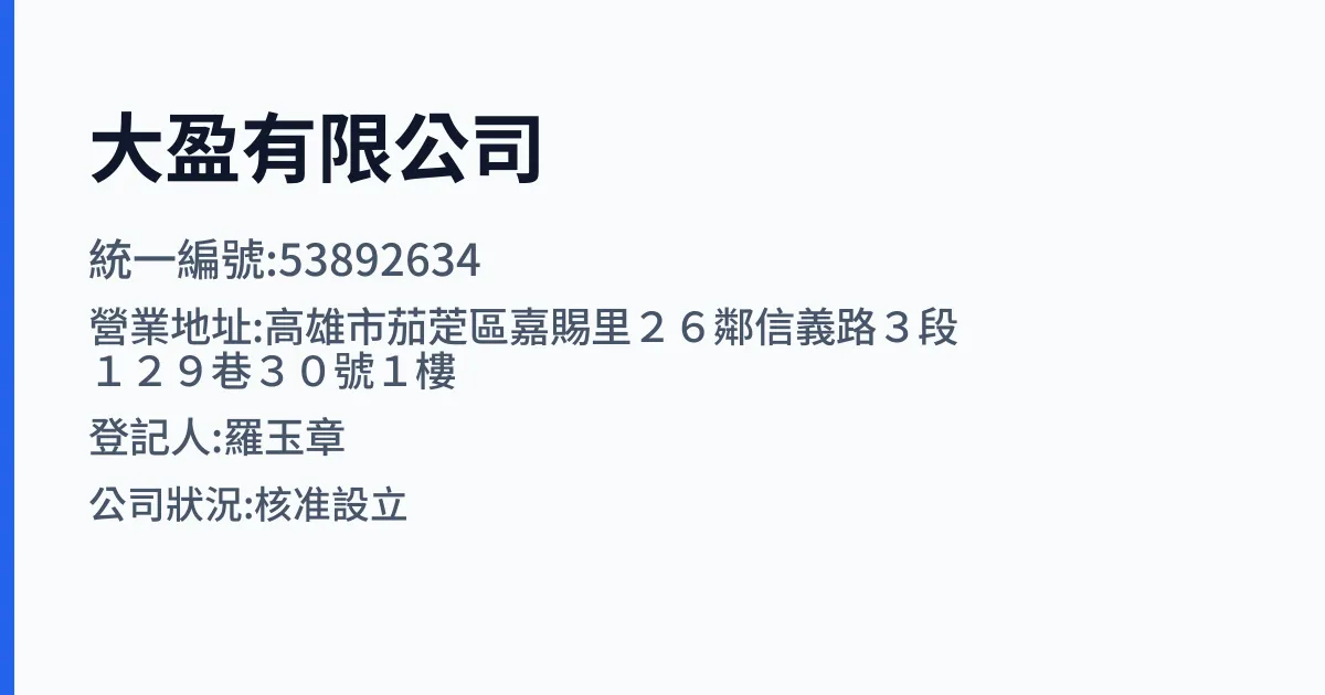大盈有限公司 - 統編 53892634(高雄市) 公司登記資料與營業項目詳細圖表