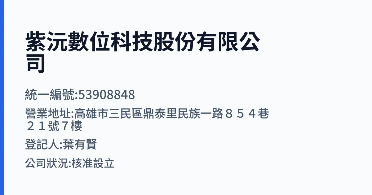 紫沅數位科技股份有限公司 - 統編 53908848(高雄市) 公司登記資料與營業項目詳細圖表