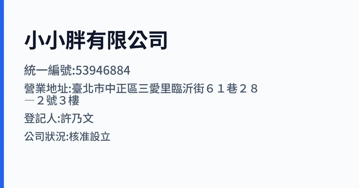 小小胖有限公司 - 統編 53946884(臺北市) 公司登記資料與營業項目詳細圖表