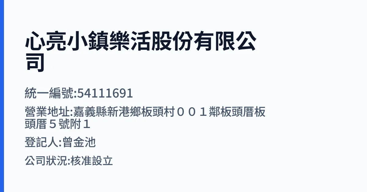 心亮小鎮樂活股份有限公司 - 統編 54111691(嘉義縣) 公司登記資料與營業項目詳細圖表