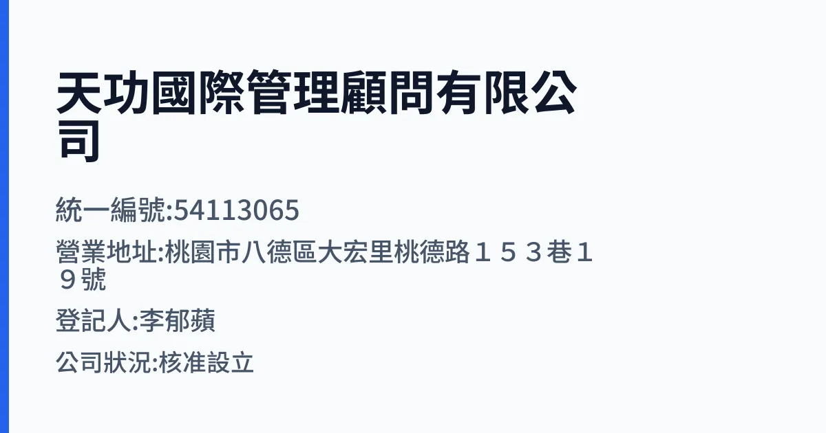 天功國際管理顧問有限公司 - 統編 54113065(桃園市) 公司登記資料與營業項目詳細圖表